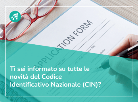 Codice Identificativo Nazionale (CIN): guida completa per gestori e ...